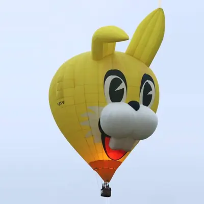 Ballonnen | Ballonfestijn Westerhaar